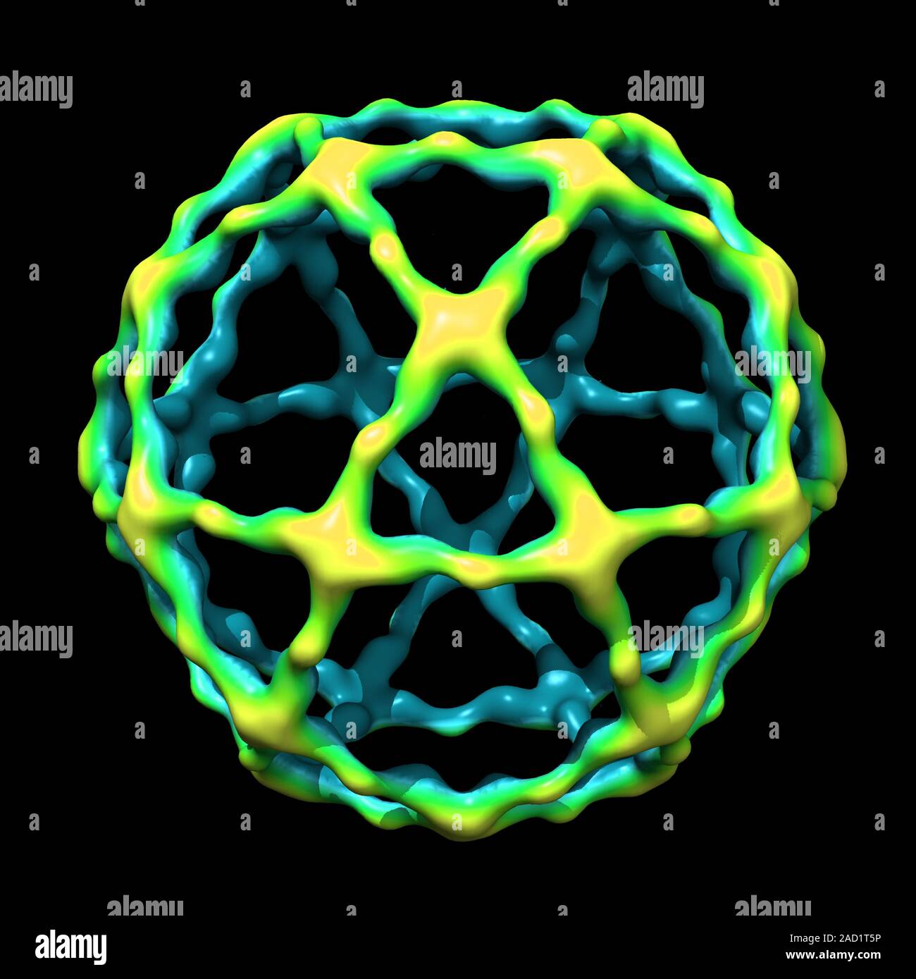 COPII vesicle coat protein. 3D computer illustration showing the ...