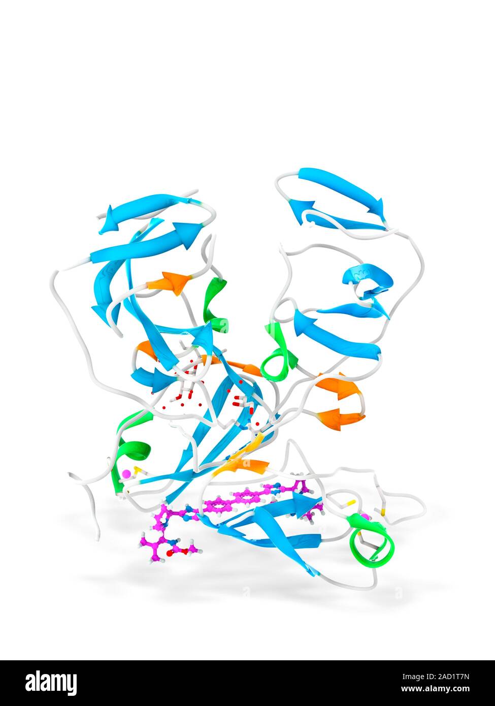 Daclatasvir and NS5A protein complex. Computer illustration showing the ...