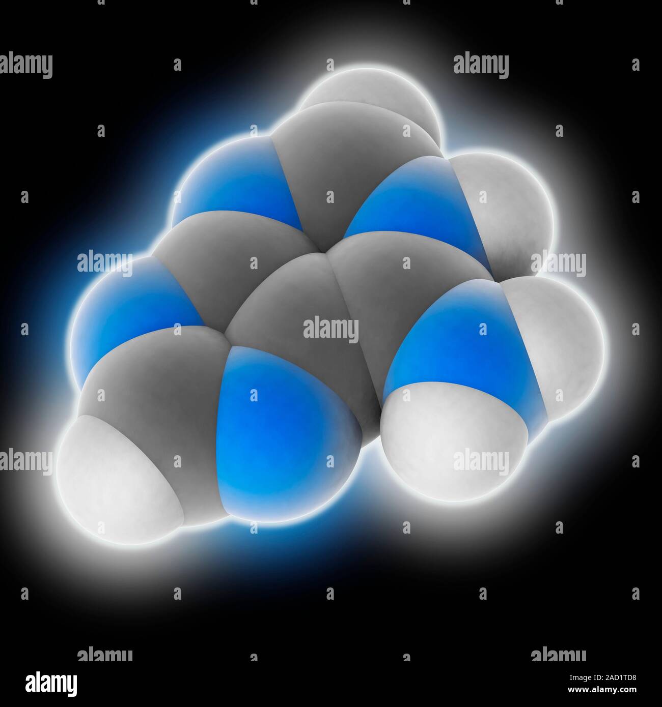 Adenine, Molecular model of the purine nucleobase adenine (C5.H5.N5 ...