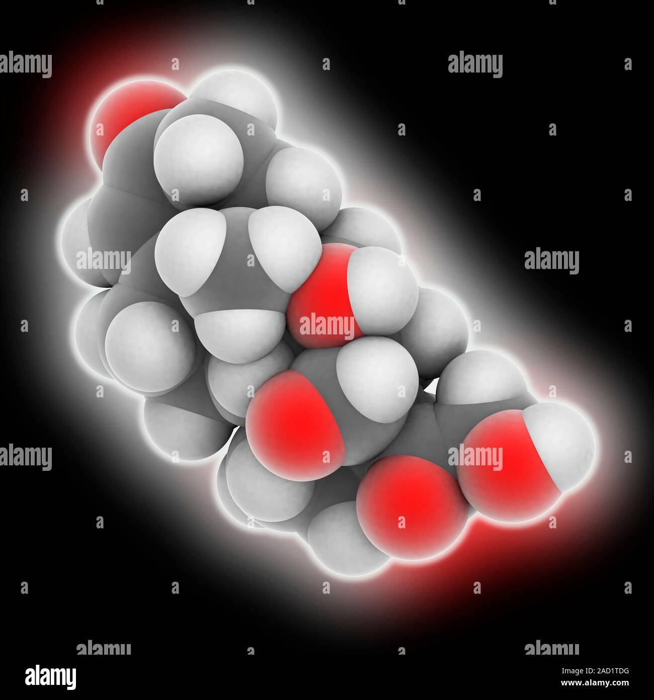 Aldosterone. Molecular model of the steroid hormone aldosterone (C21 ...