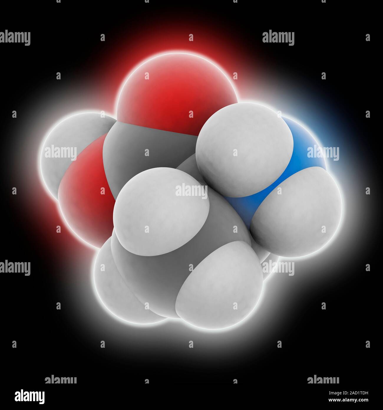 Alanine. Molecular model of the amino acid alanine (C3.H7.N.O2 ...