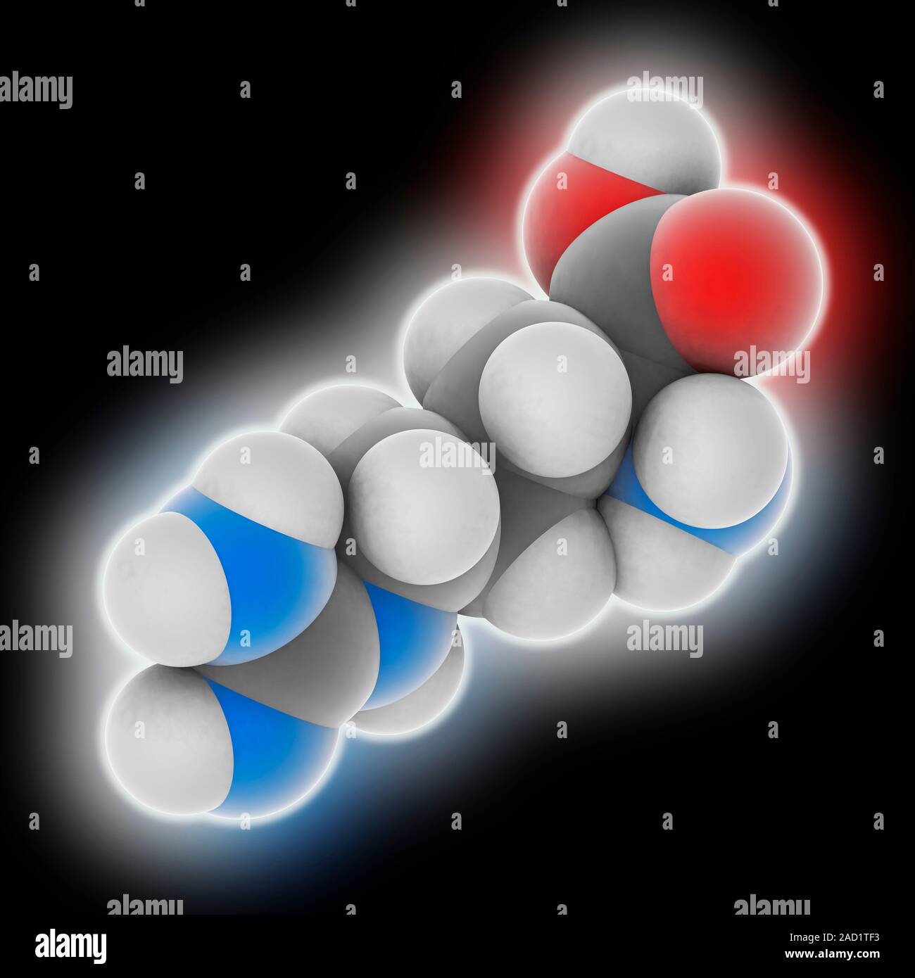 Arginine. Molecular model of the amino acid arginine (C6.H14.N4.O2 ...