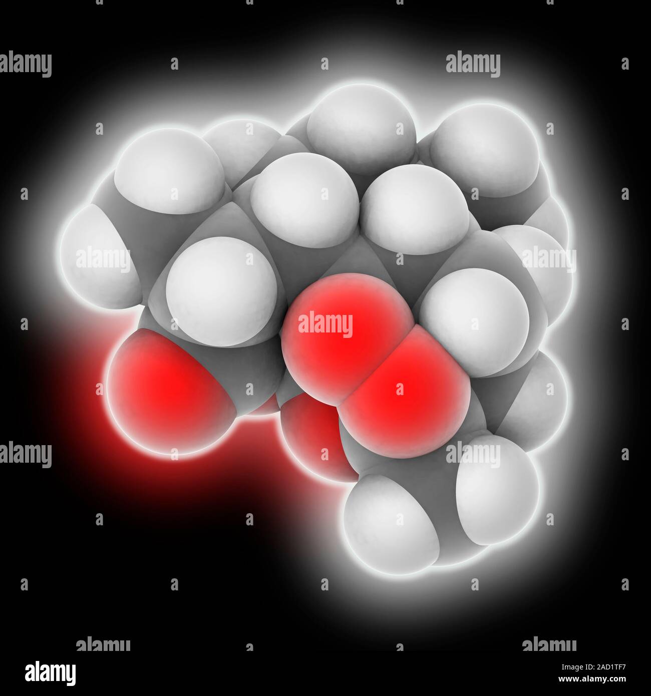 Artemisinin. Molecular model of the malaria drug artemisinin (C15.H22 ...