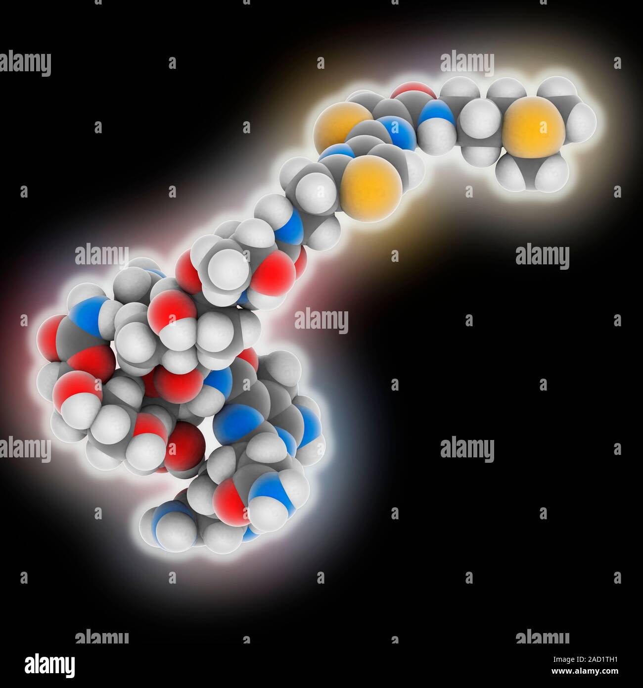 Bleomycin. Molecular model of the anti-cancer drug bleomycin (C55.H84 ...