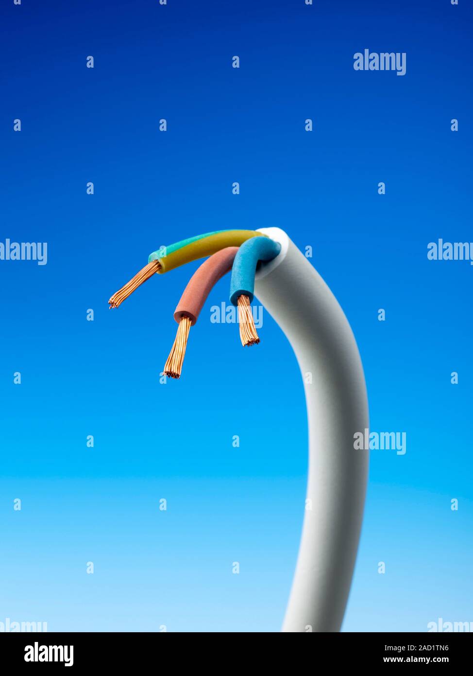 Electrical cable. A section of three-core electrical cable as used in ...