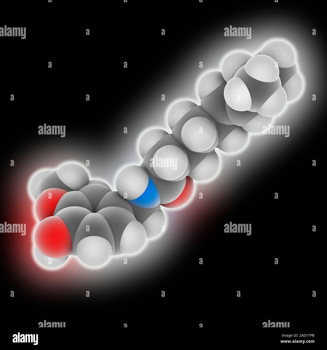 Capsaicin. Molecular model of the amide capsaicin (C18.H27.N.O3), the ...