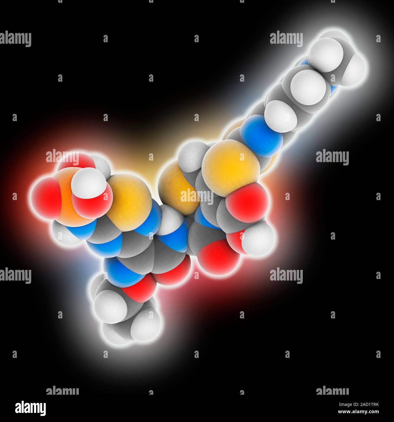 Ceftaroline. Molecular model of the antibiotic drug ceftaroline (C24 ...