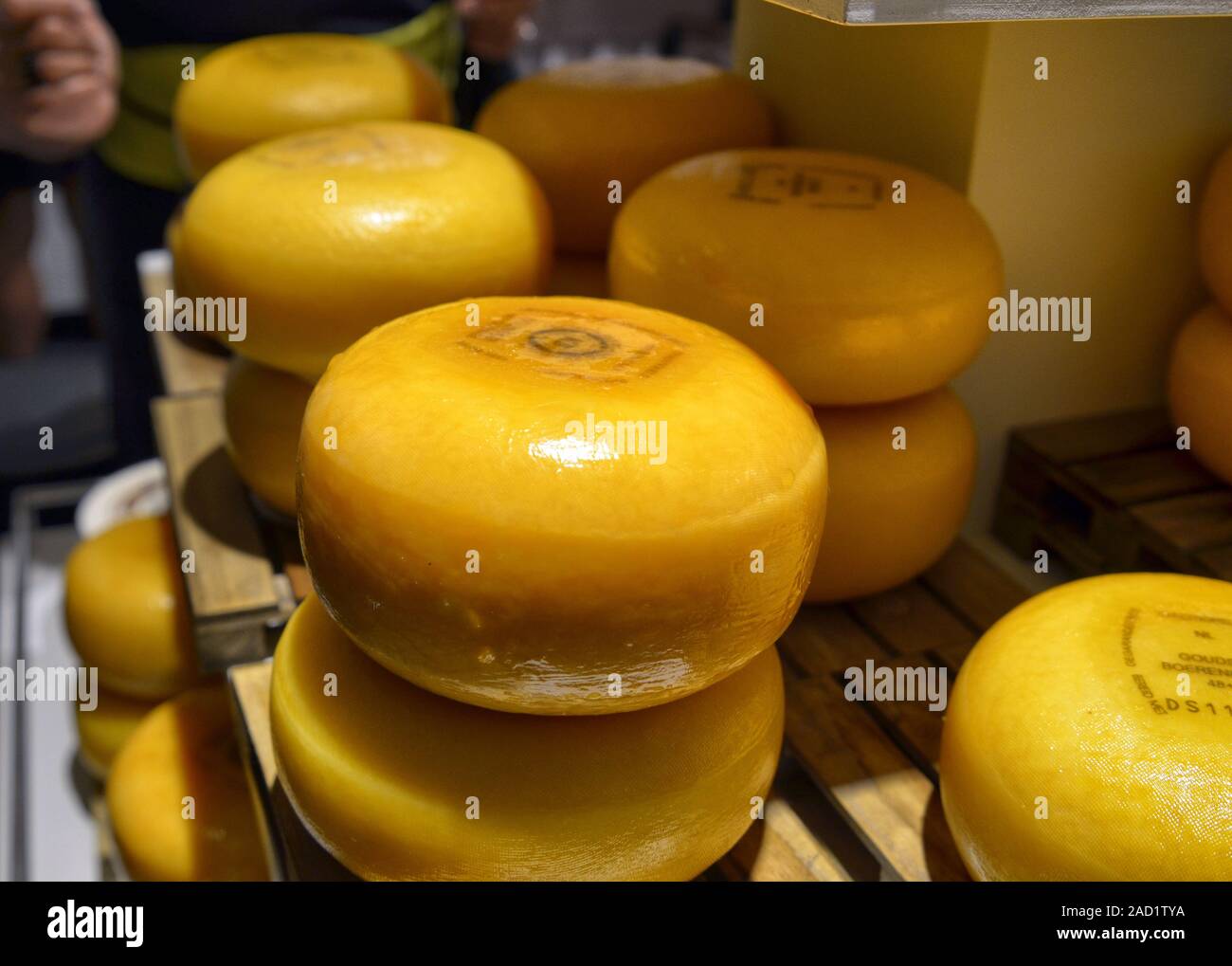 Amsterdam, Holland, August 201. Typical Dutch cheese shapes: displayed ...