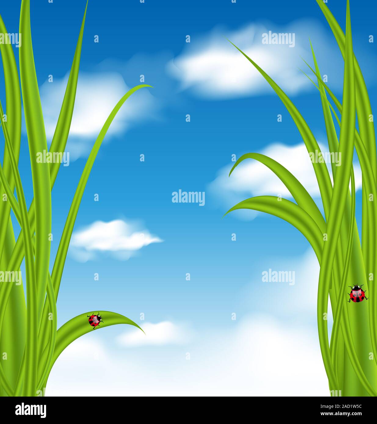 Nature background with green grass and ladybug Stock Photo - Alamy