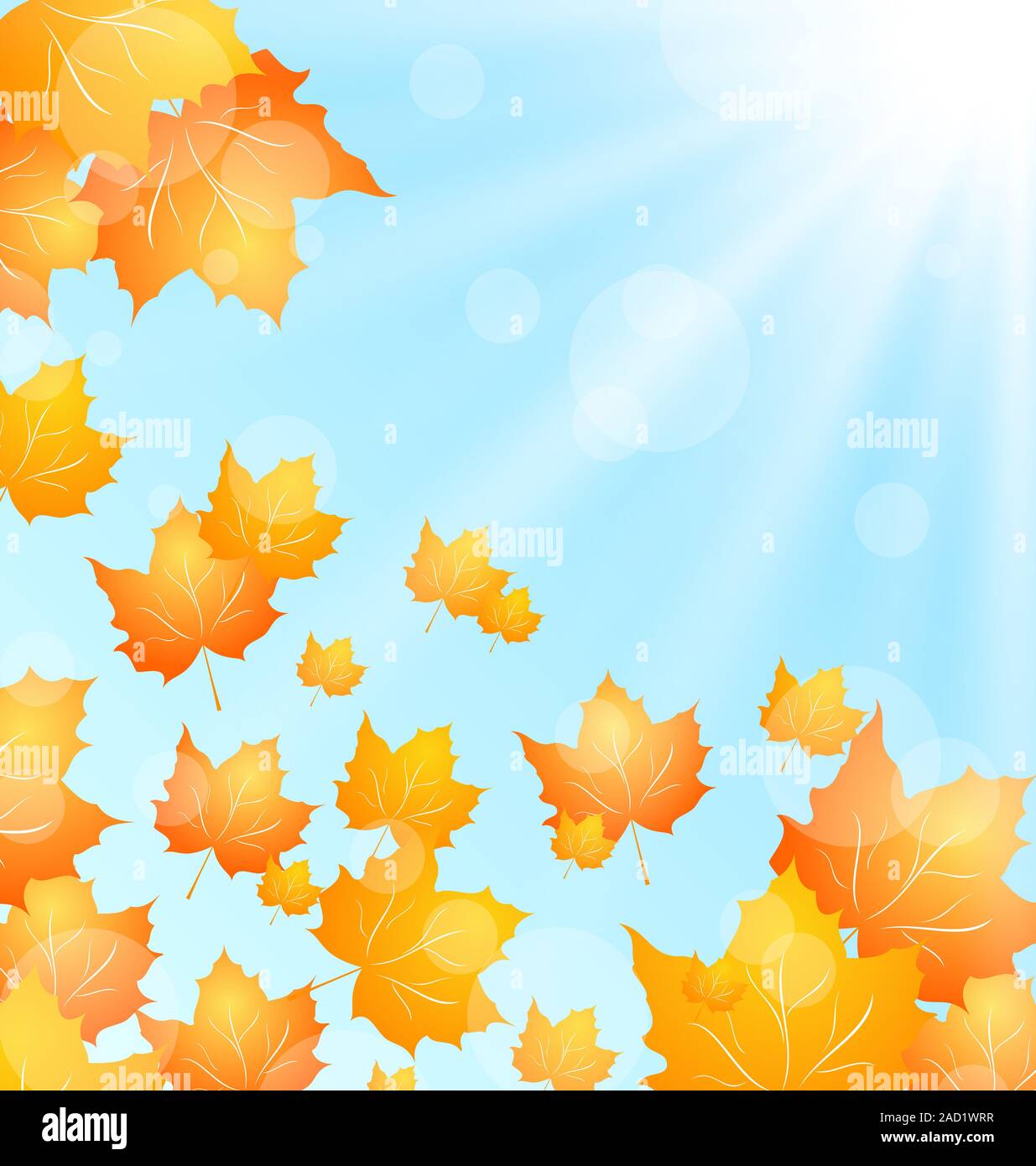 Autumn Background with Flying Maple Stock Photo - Alamy