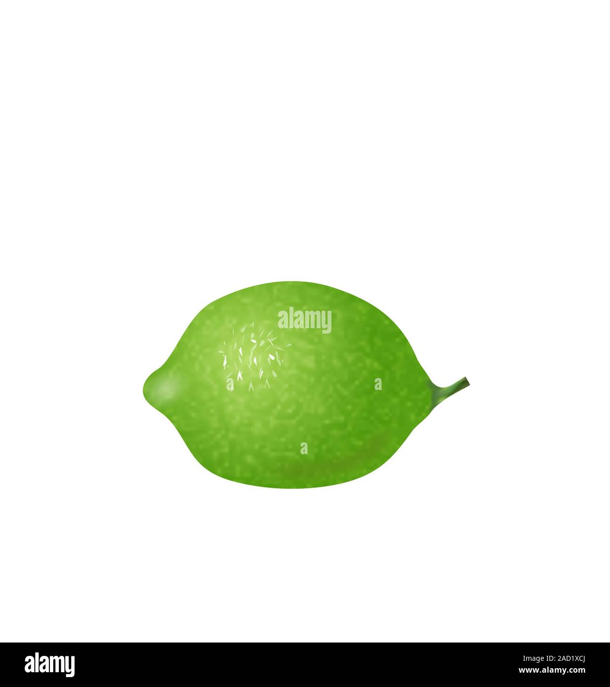 Photo Realistic Lime Isolated Stock Photo - Alamy