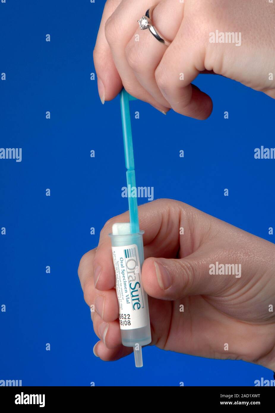 Oral specimen collection device. Close-up of an oral specimen ...