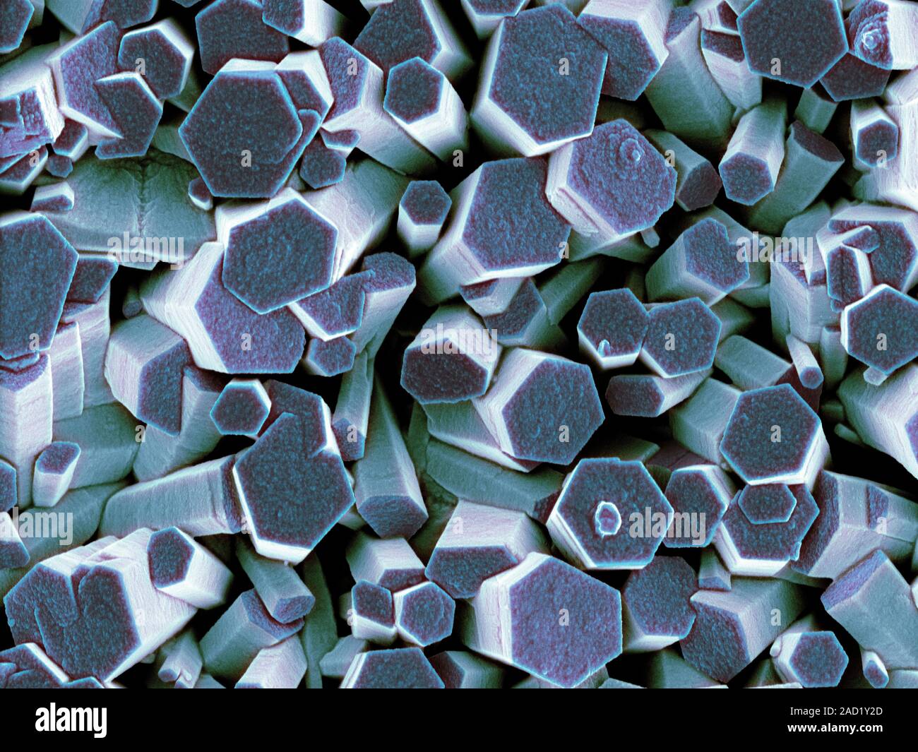Coloured scanning electron micrograph (SEM) of crystals of zinc oxide ...