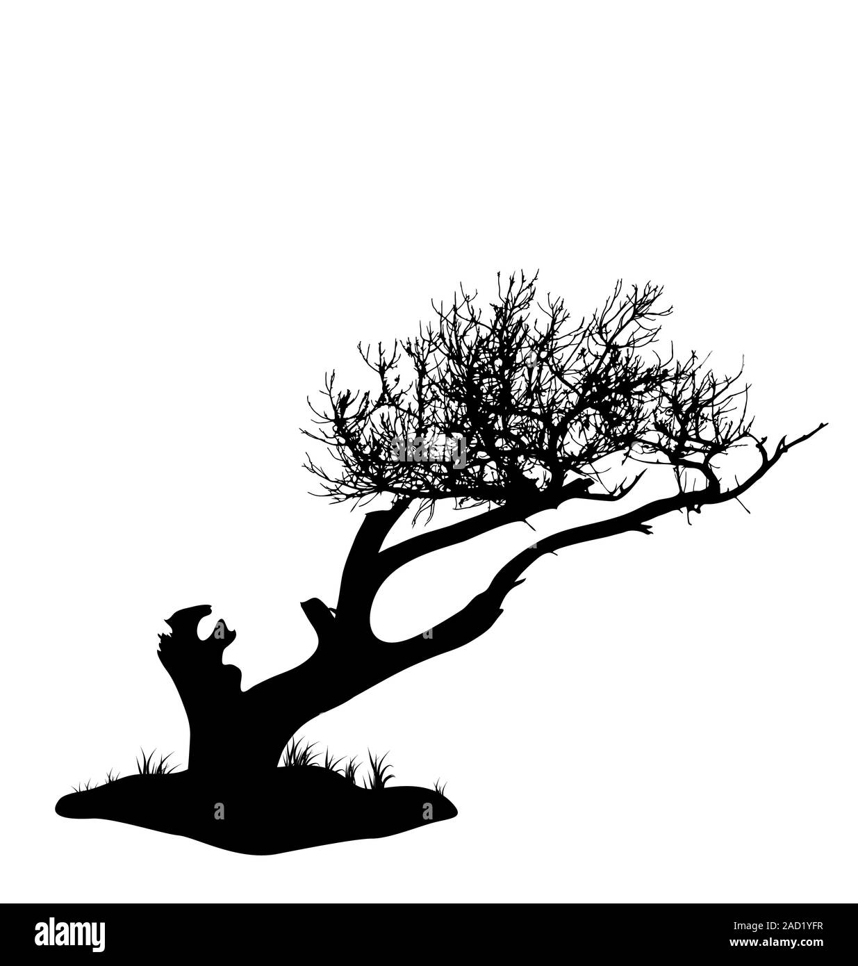 Tree silhouette isolated on white background Stock Photo - Alamy