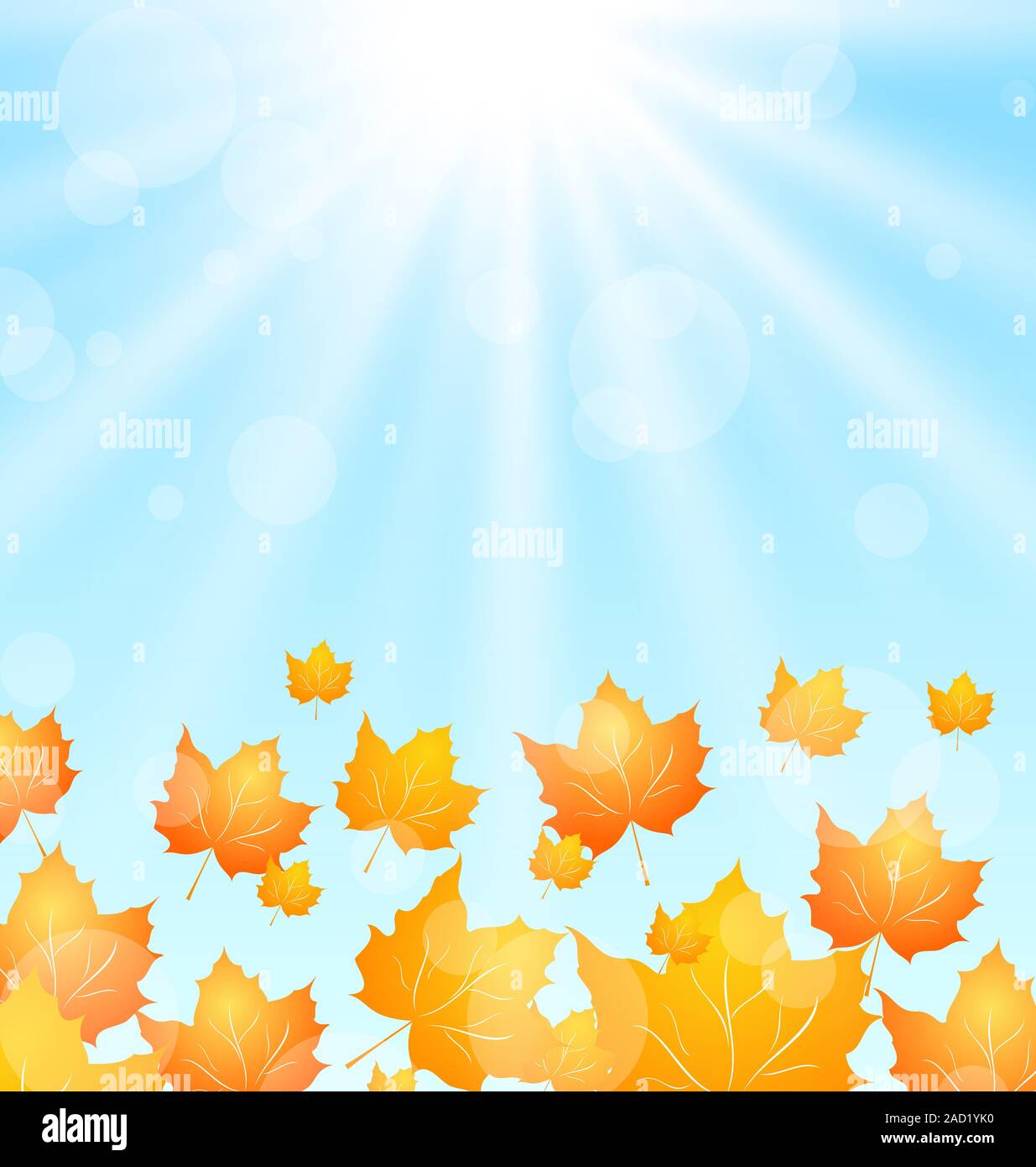 Autumn Flying Maples in Blue Sky Stock Photo - Alamy