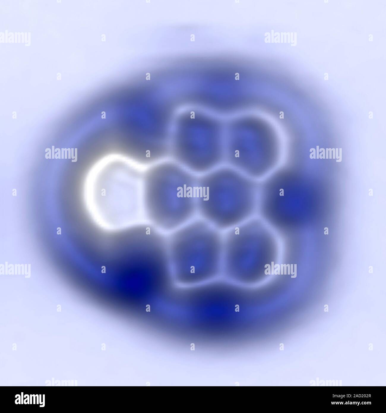 Coloured atomic force micrograph (AFM) of an aryne molecule. This is ...
