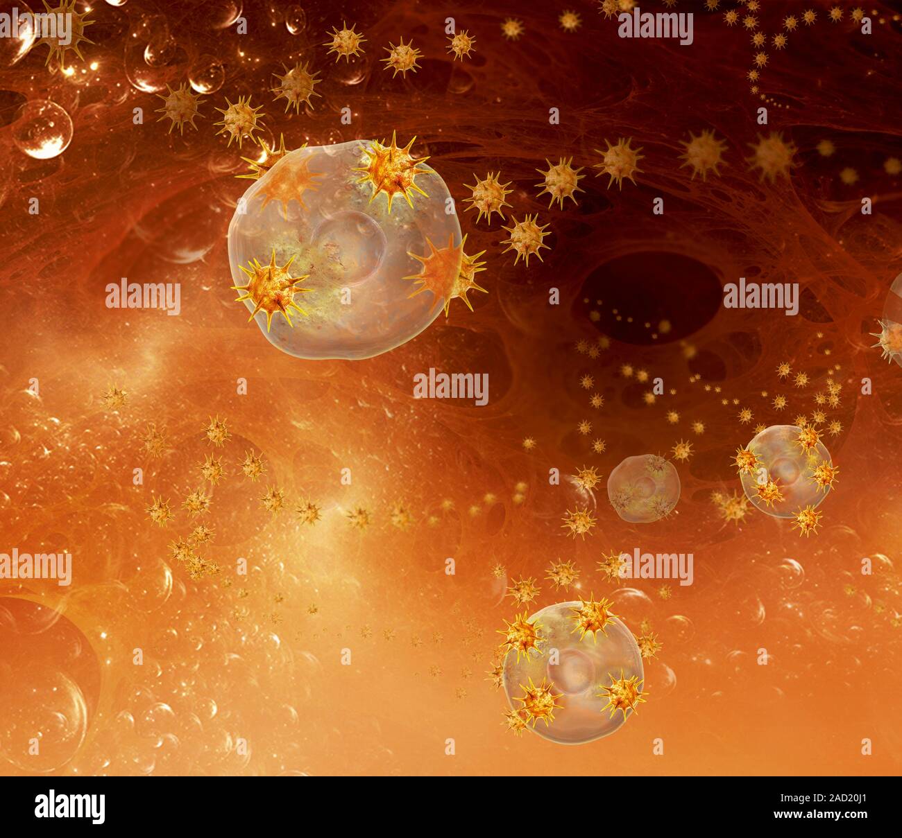 Virus attacking a cells. Computer illustration of virus particles ...