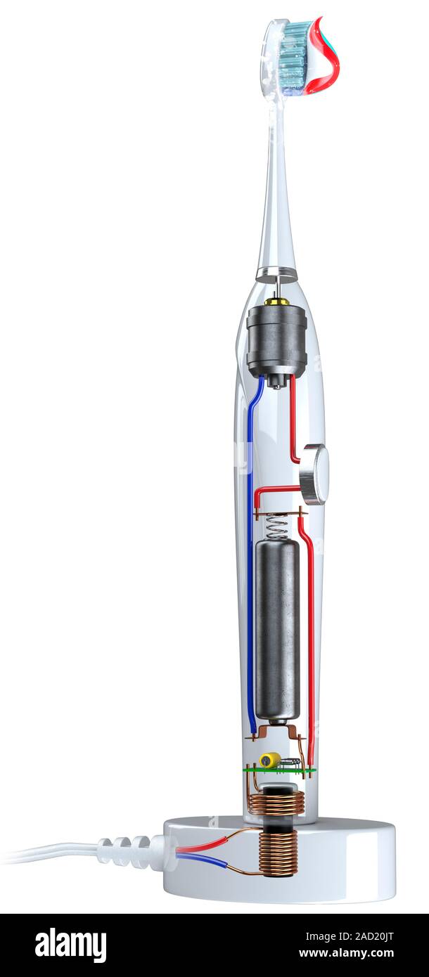 Electric toothbrush. Cut-away computer illustration showing the ...