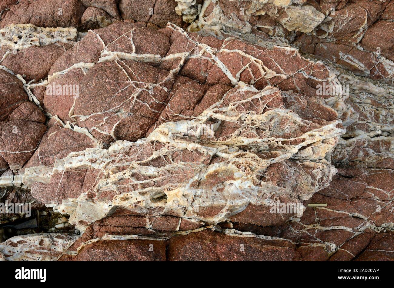 Quartz veins in volcanic rhyolite rock. Photographed in Cap Dramont ...