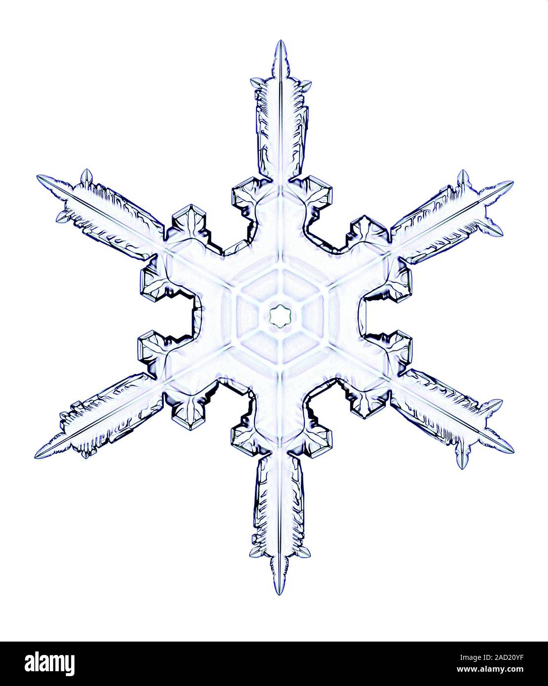 Snowflake. Light micrograph of a stellar dendrite snowflake. Snowflakes ...