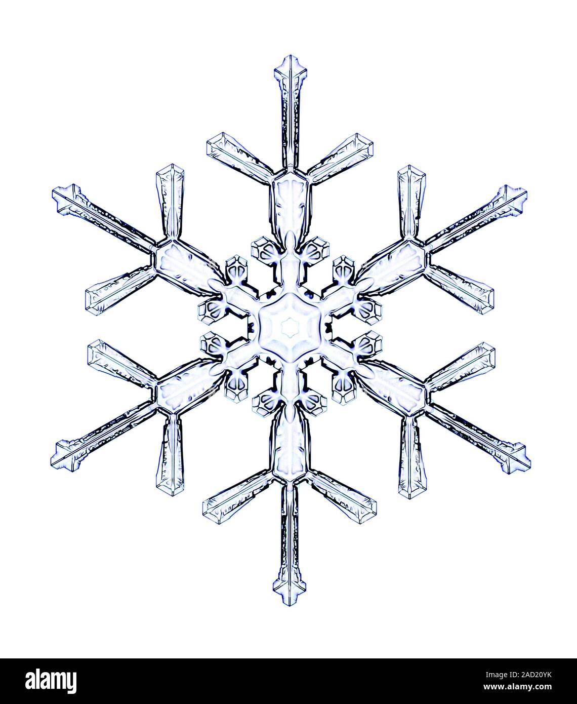 Dendrites Snowflakes