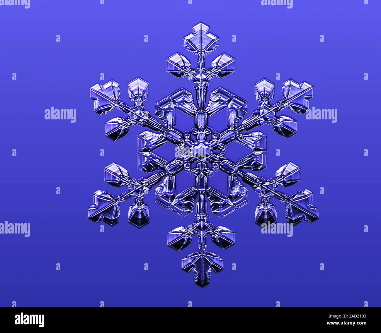 Snowflake. Light micrograph of a stellar dendrite snowflake. Snowflakes ...