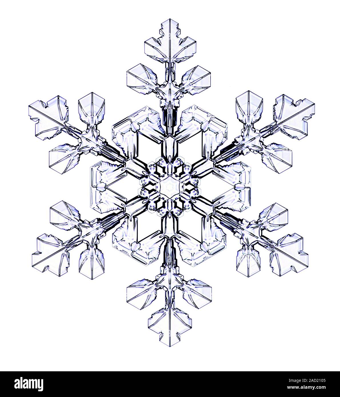 Snowflake. Light micrograph of a stellar dendrite snowflake. Snowflakes ...