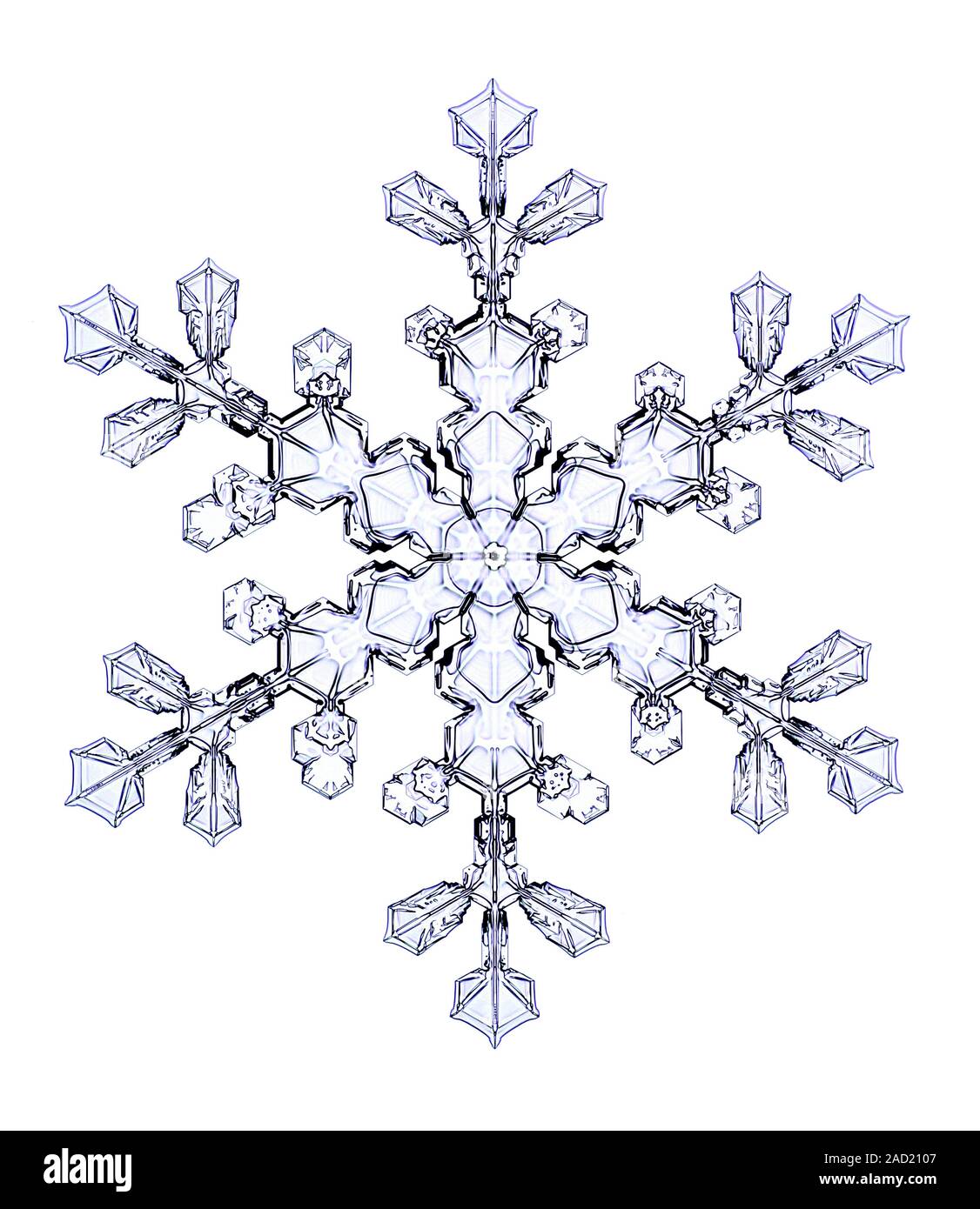Snowflake. Light micrograph of a stellar dendrite snowflake. Snowflakes ...