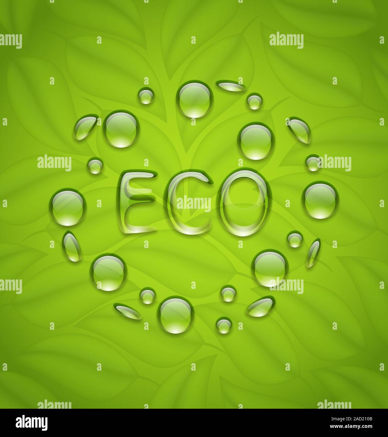 Eco friendly background with water drops on fresh green leaves texture ...
