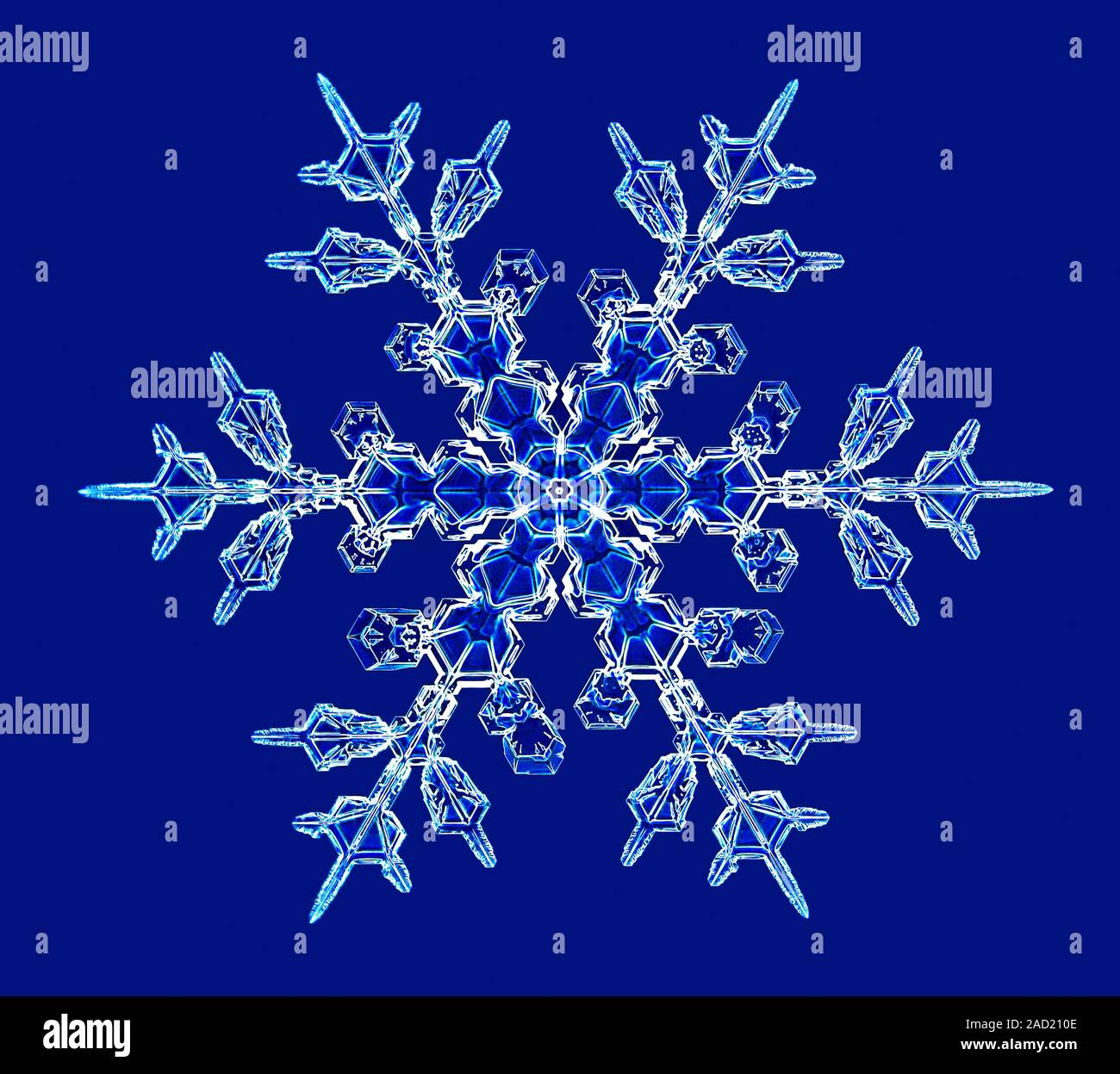Snowflake. Light micrograph of a stellar dendrite snowflake. Snowflakes ...