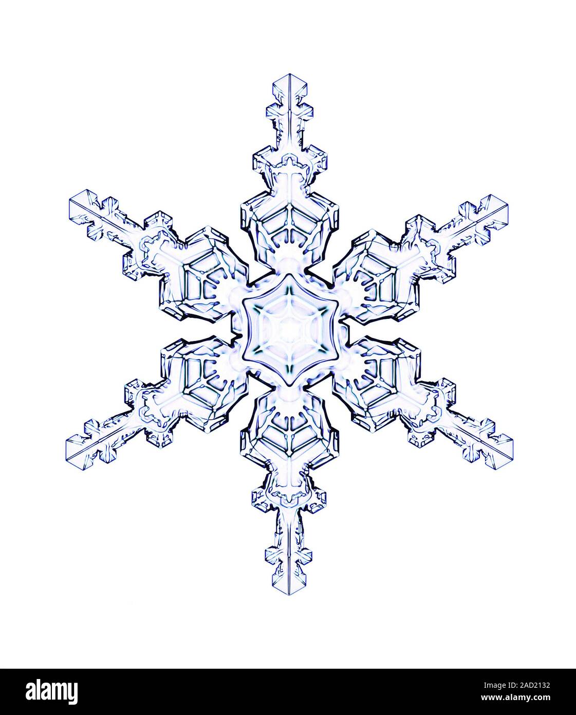 Snowflake. Light micrograph of a stellar dendrite snowflake. Snowflakes ...
