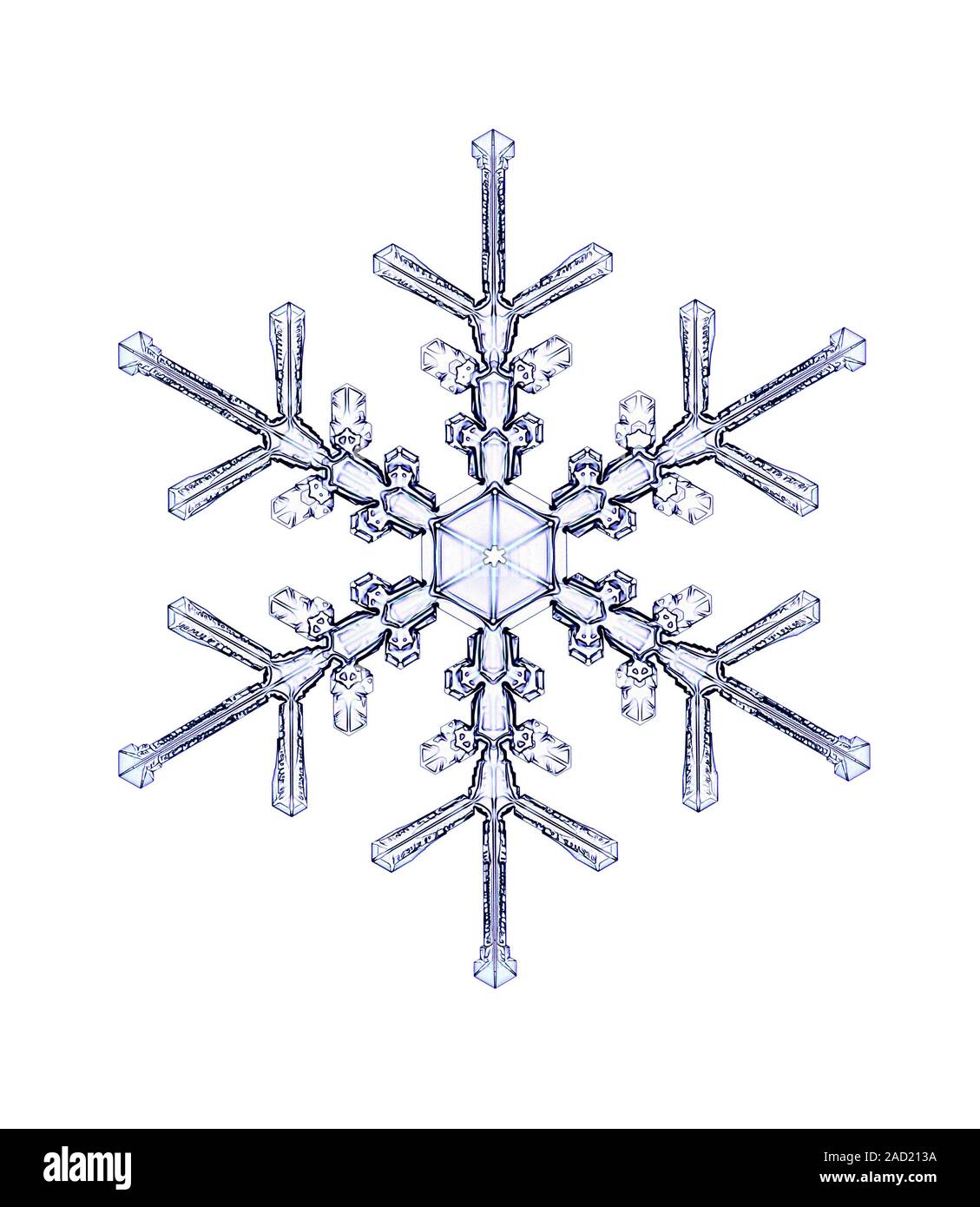 Snowflake. Light micrograph of a stellar dendrite snowflake. Snowflakes ...