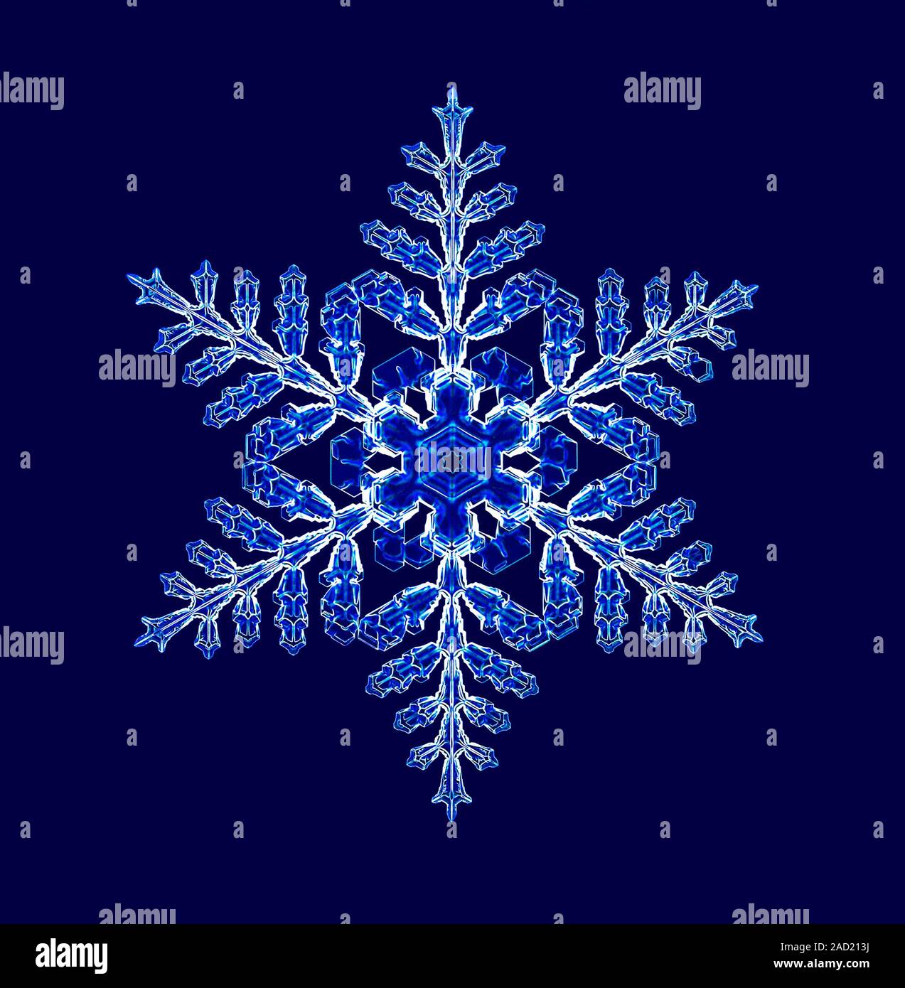Snowflake. Light micrograph of a fernlike stellar dendrite snowflake ...