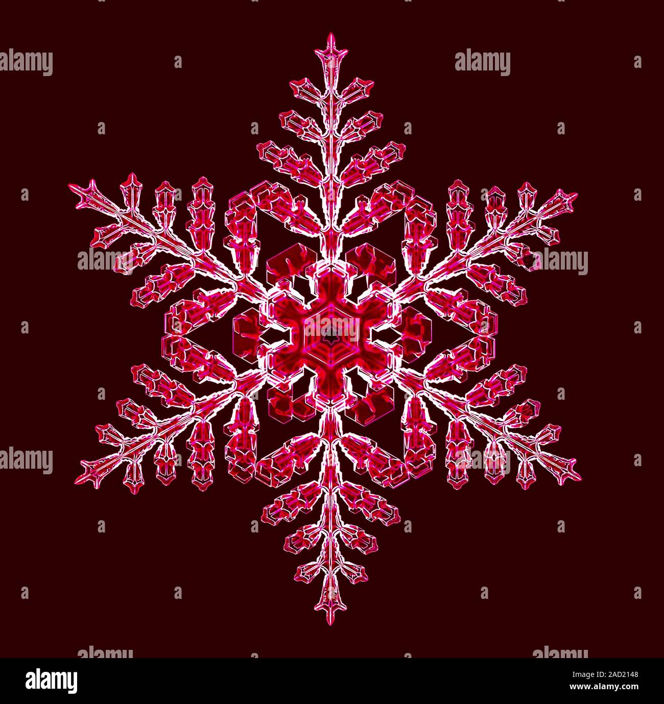 Snowflake. Light micrograph of a fernlike stellar dendrite snowflake ...