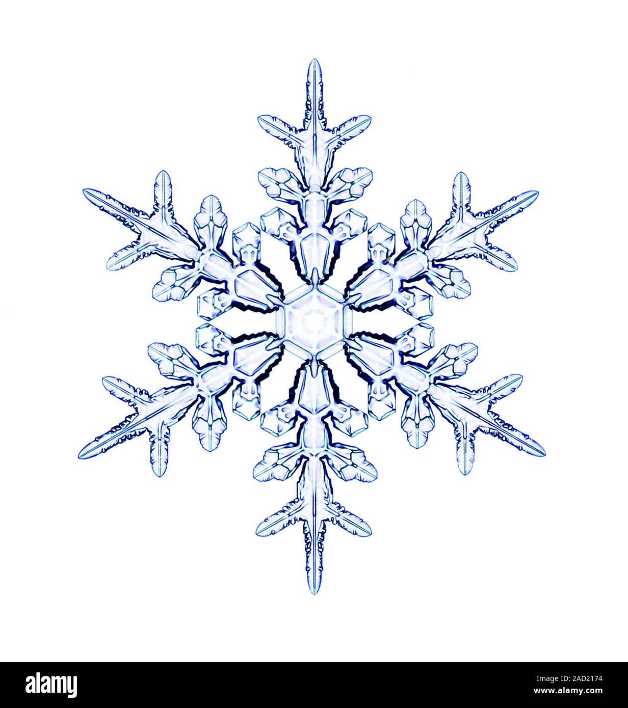 Snowflake. Light micrograph of a stellar dendrite snowflake. Snowflakes ...