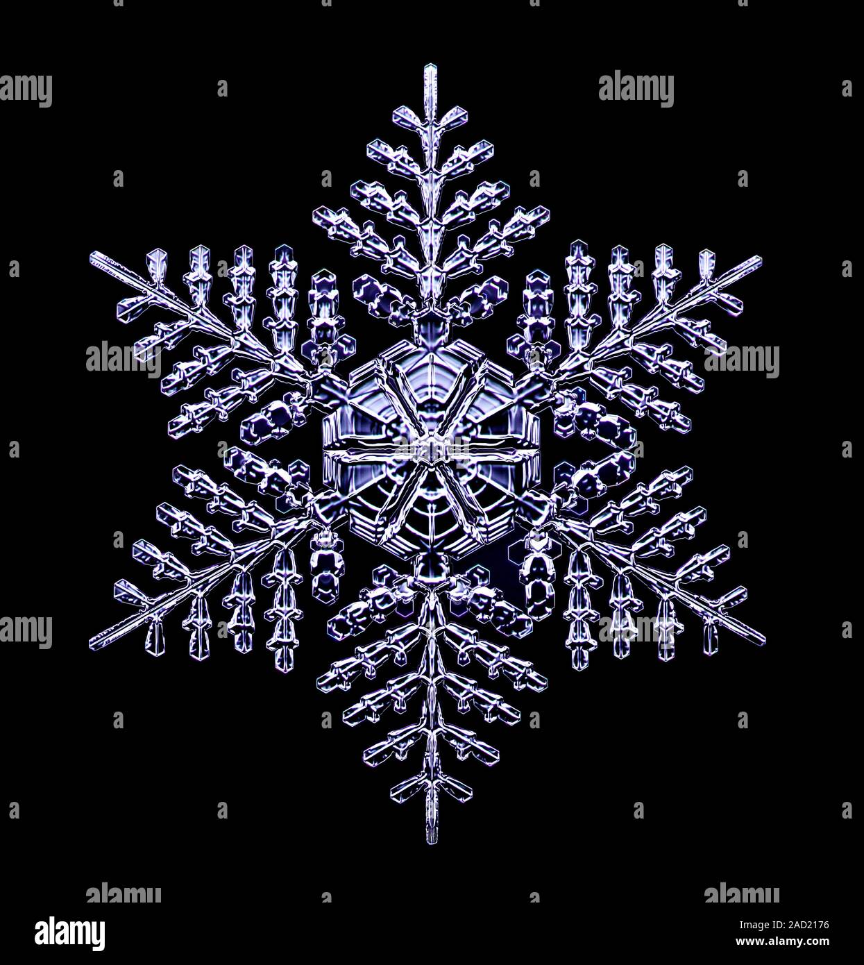 Snowflake. Light micrograph of a fernlike stellar dendrite snowflake ...