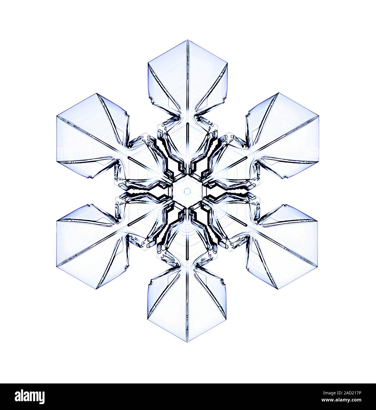 Snowflake. Light micrograph of a sectored plate snowflake. Snowflakes ...