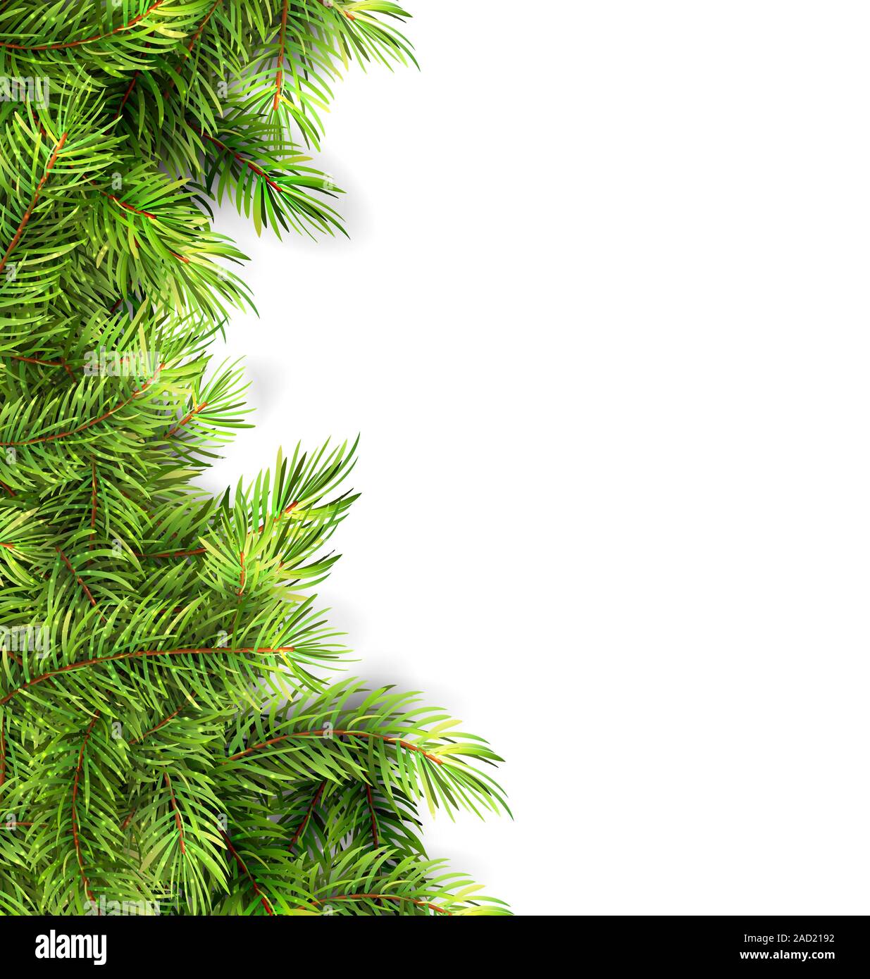 Natural Framework with Fir Twigs Stock Photo - Alamy