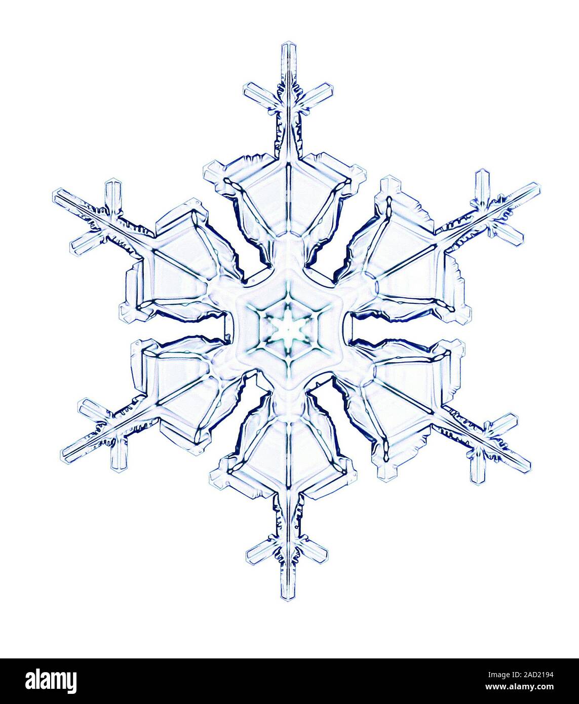 Snowflake. Light micrograph of a dendritic sectored plate snowflake ...