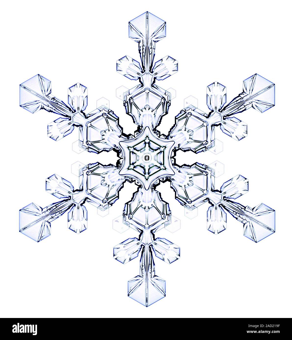 Snowflake. Light micrograph of a dendritic sectored plate snowflake ...