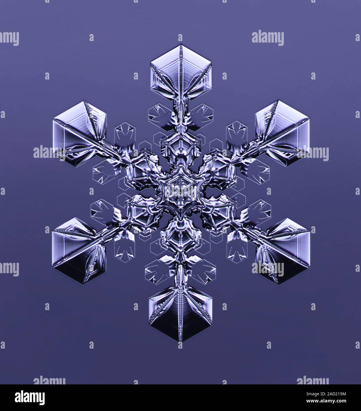 Snowflake. Light micrograph of a dendritic sectored plate snowflake ...