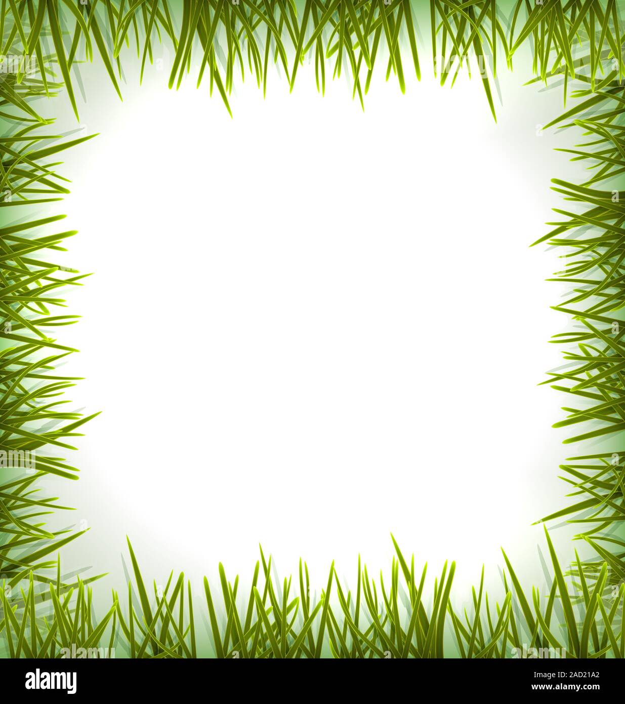 Realistic green grass like frame isolated on white Stock Photo - Alamy