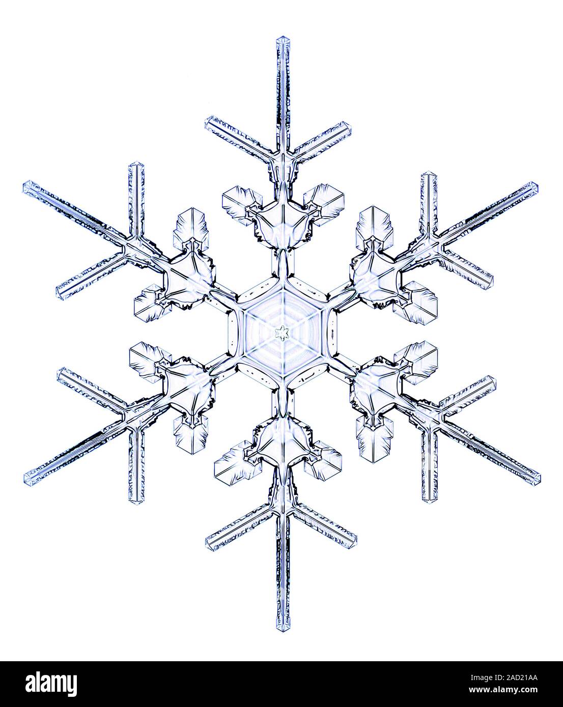 Snowflake. Light micrograph of a stellar dendrite snowflake. Snowflakes ...