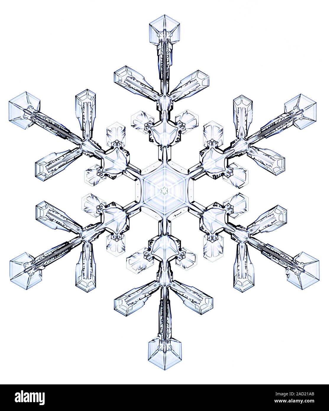 Snowflake. Light micrograph of a stellar dendrite snowflake. Snowflakes ...