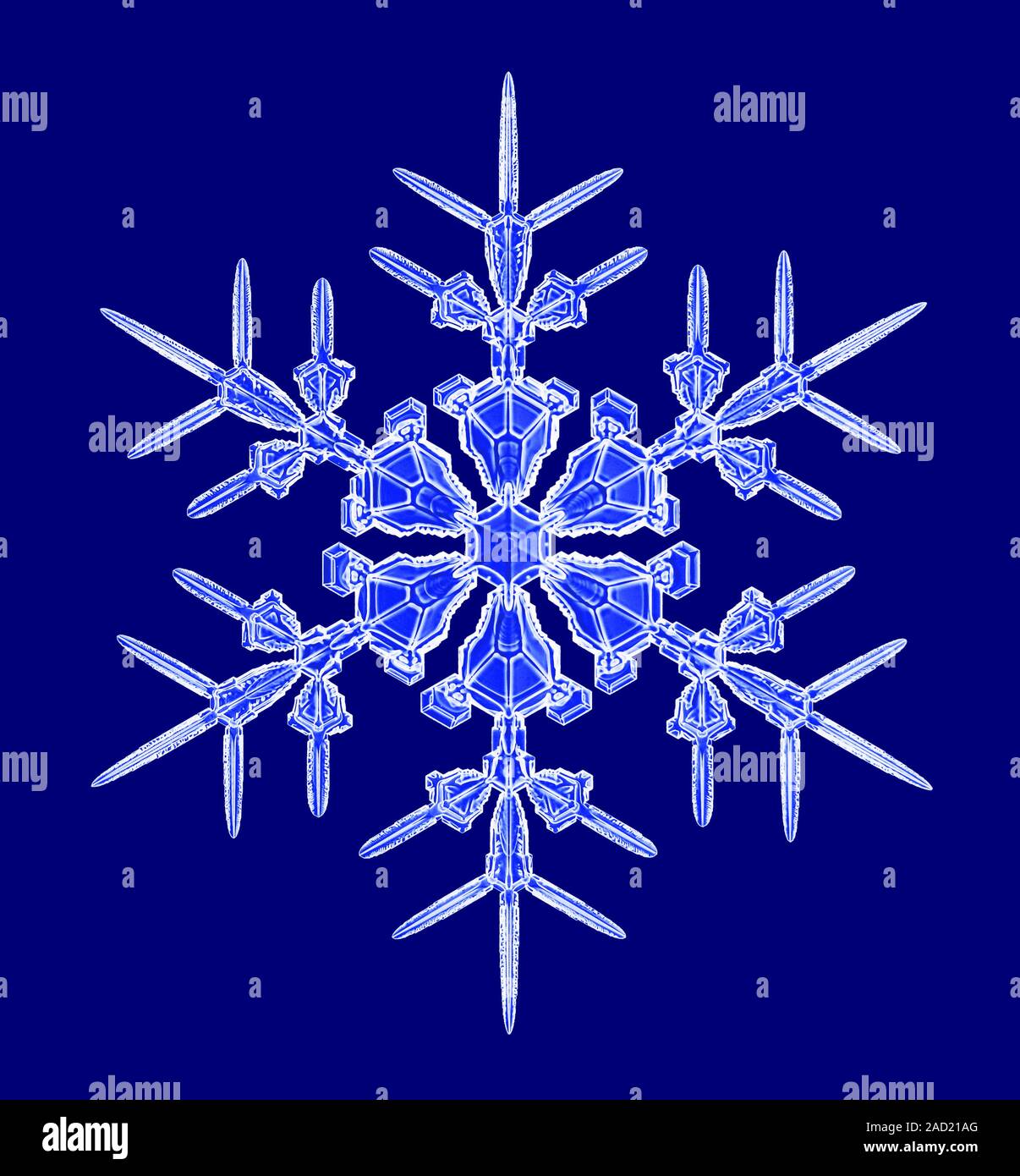 Snowflake. Light micrograph of a stellar dendrite snowflake. Snowflakes ...