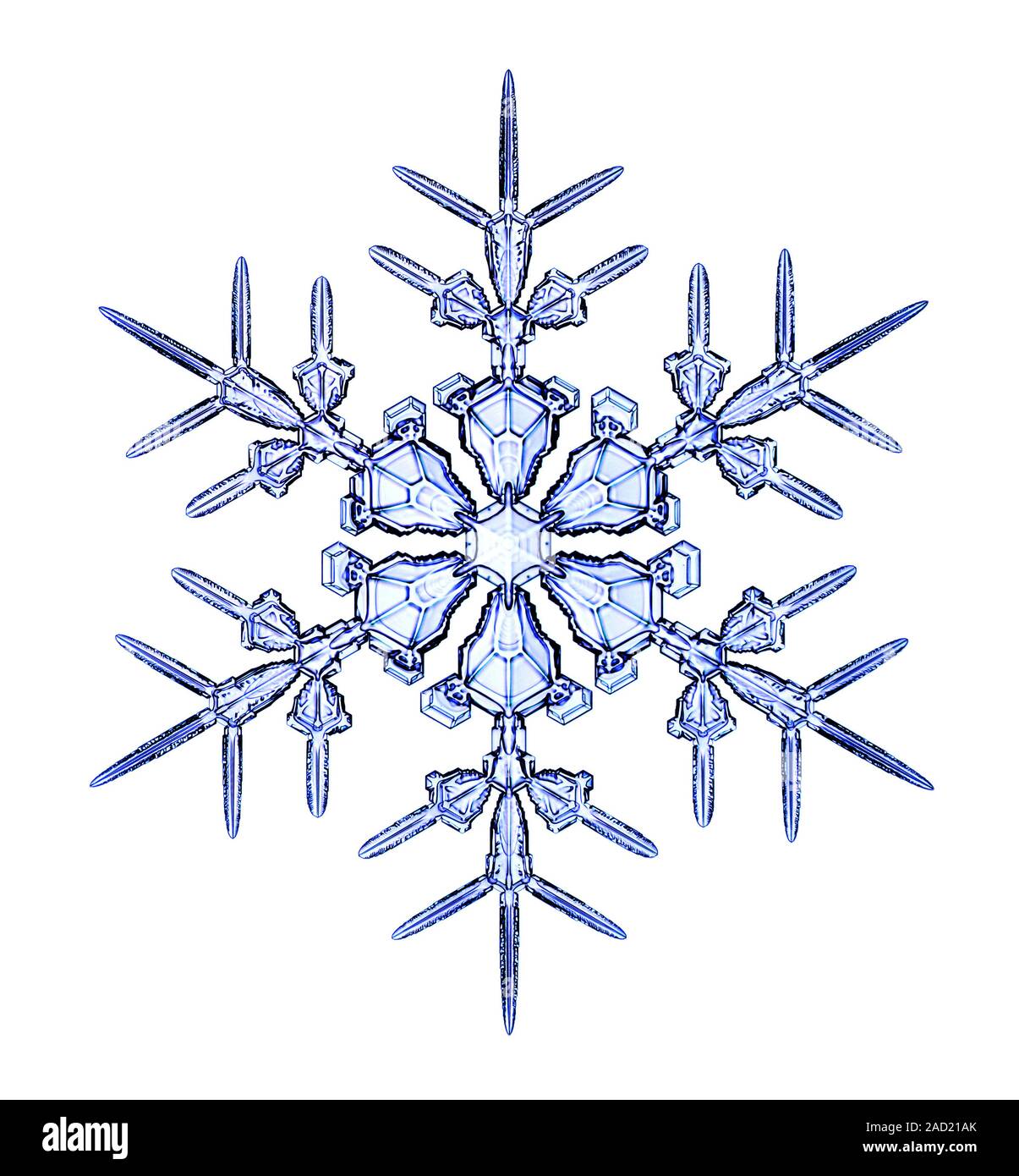 Snowflake. Light micrograph of a stellar dendrite snowflake. Snowflakes ...