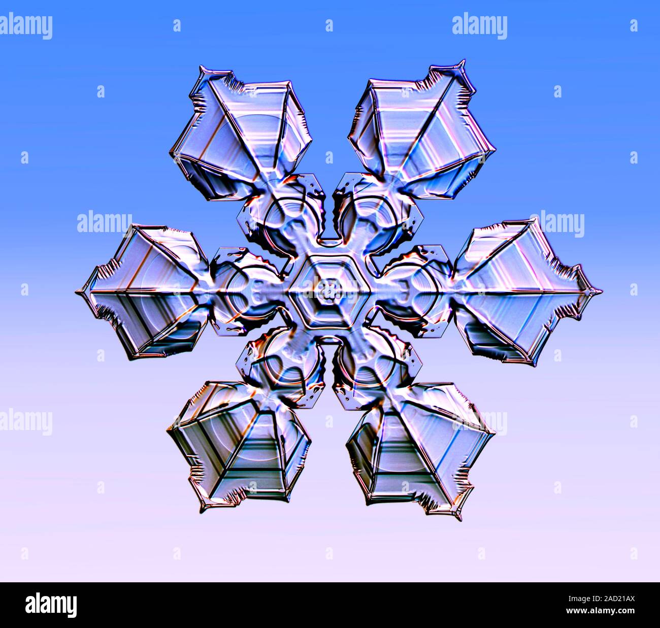 Snowflake. Light micrograph of a sectored plate snowflake. Snowflakes ...