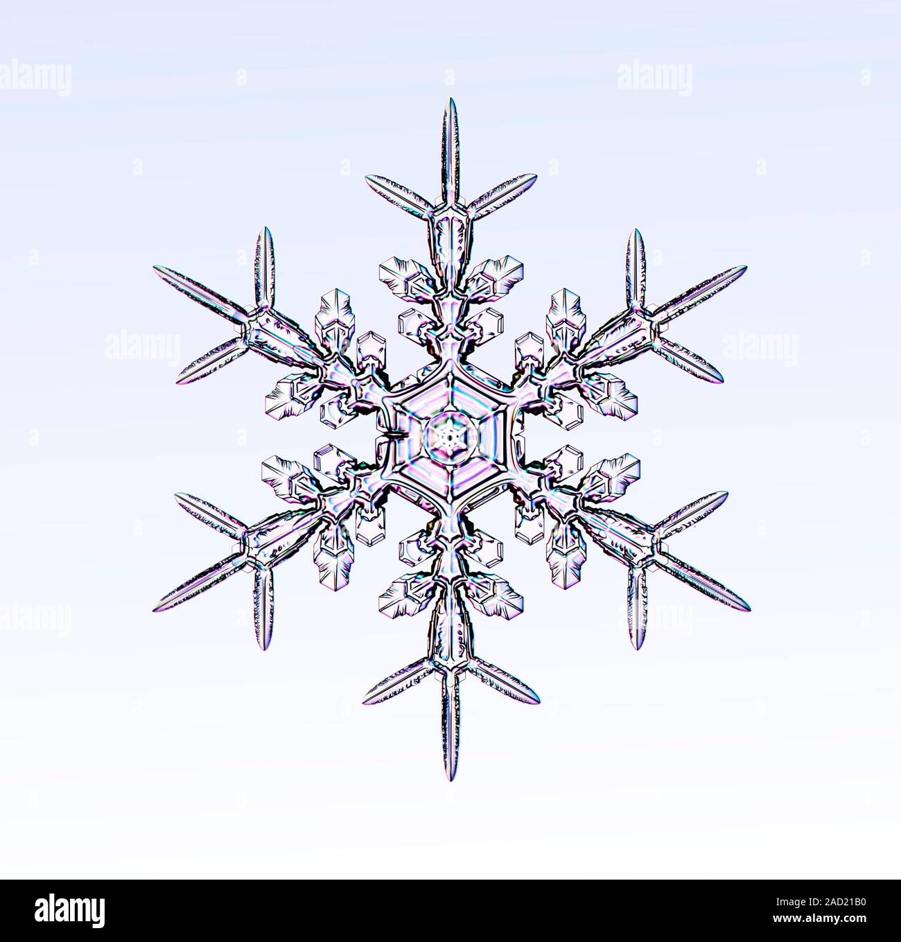 Snowflake. Light micrograph of a stellar dendrite snowflake. Snowflakes ...