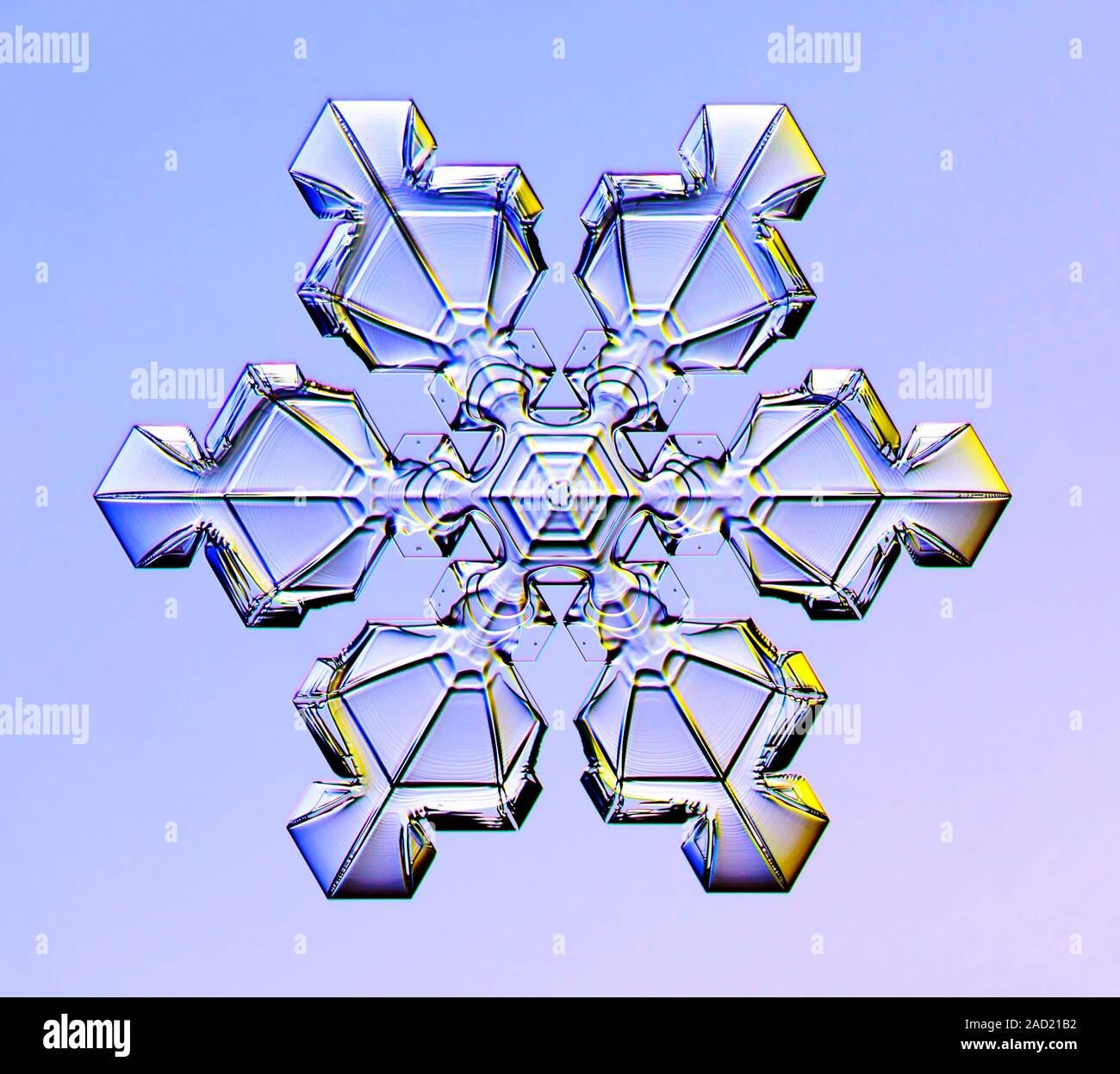 Snowflake. Light micrograph of a sectored plate snowflake. Snowflakes ...