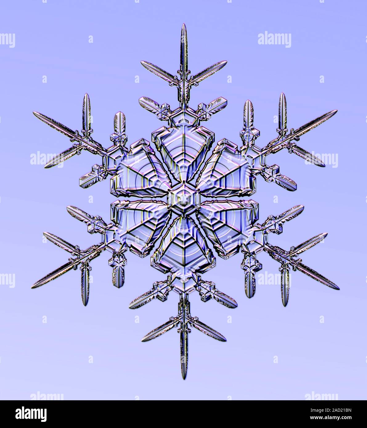Snowflake. Light micrograph of a stellar dendrite snowflake. Snowflakes ...